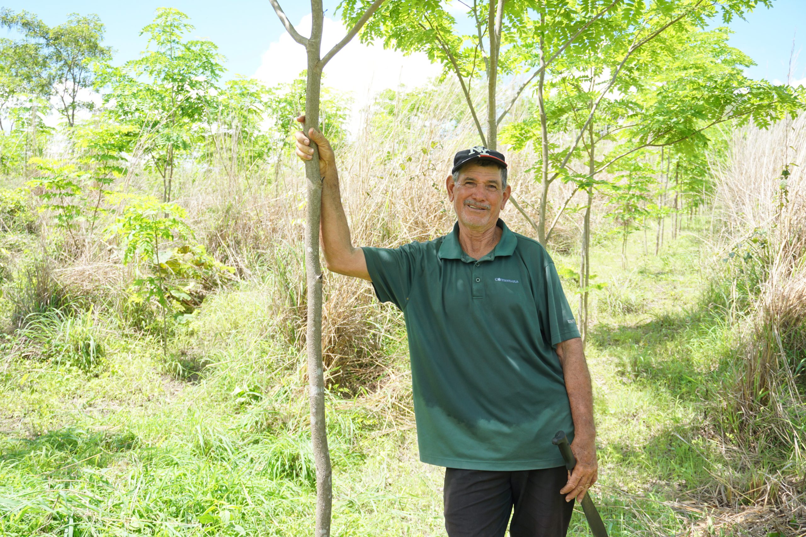 Latest News - Taking Root