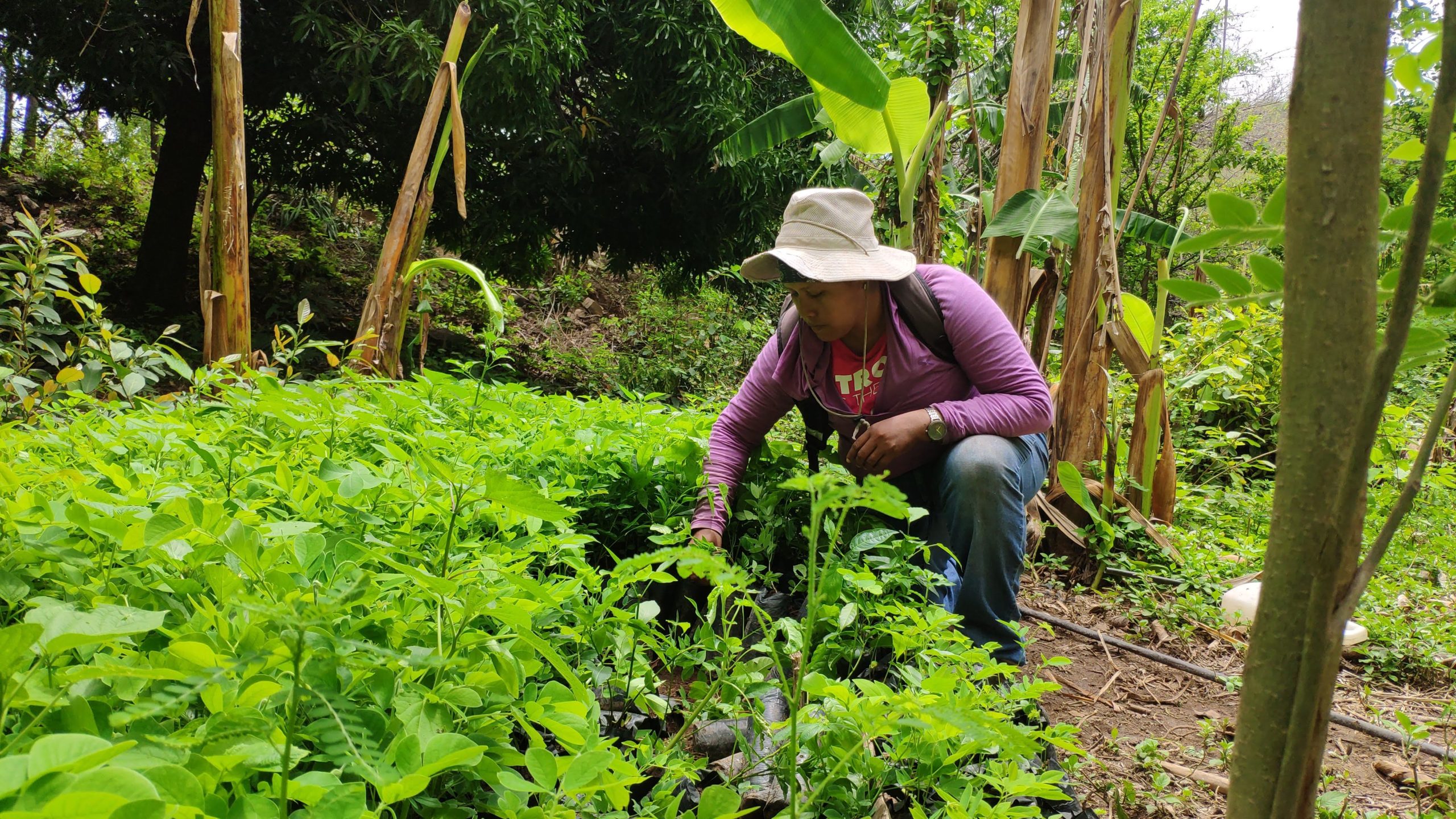 An inside look into one of the local minds behind CommuniTree - Taking Root