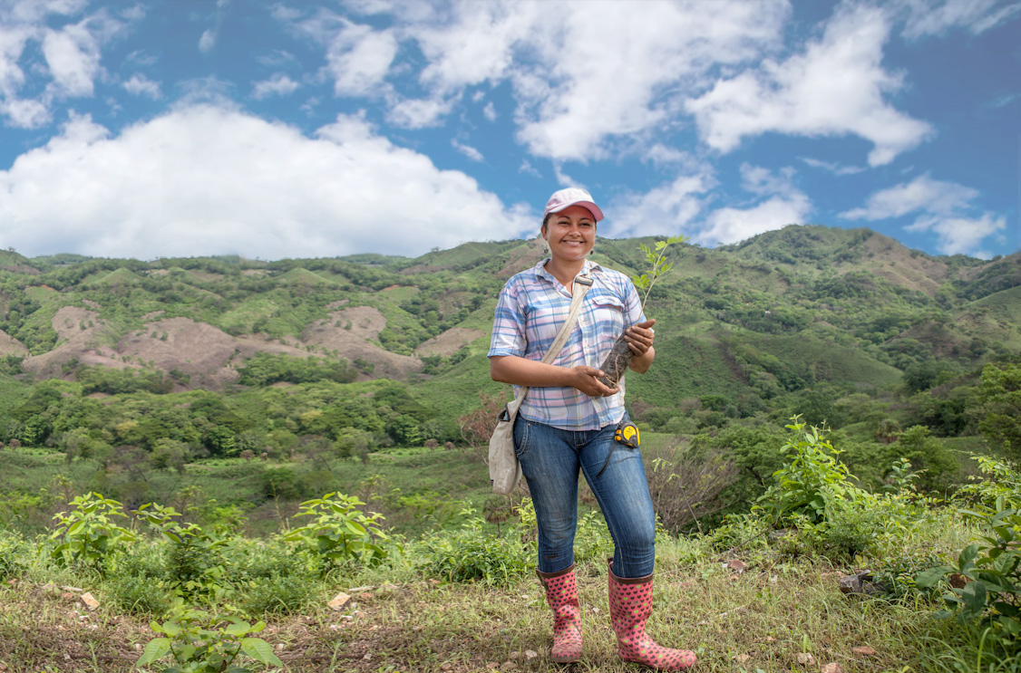 CommuniTree - Taking Root