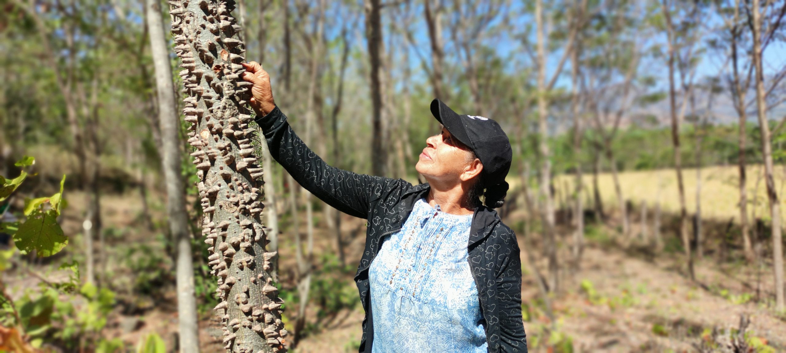 Reforestation–a farmer's perspective - Taking Root