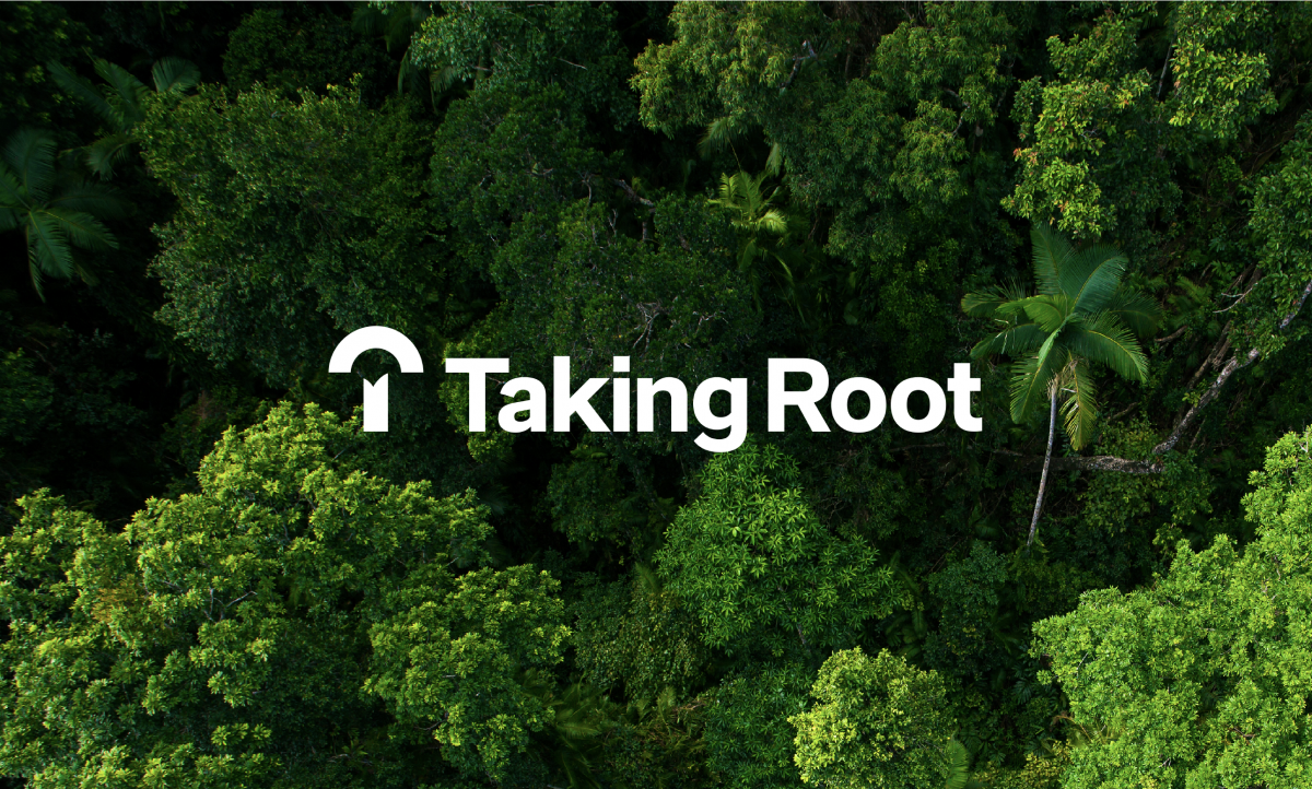 Taking Root launches its new brand - Taking Root