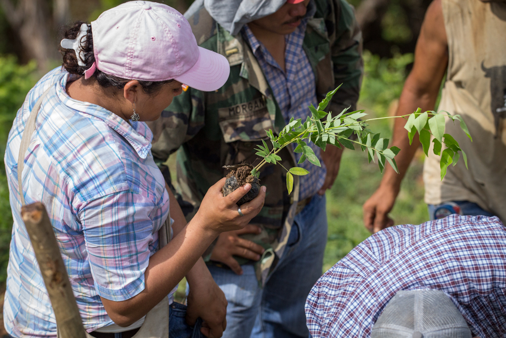 Work With Us - Taking Root
