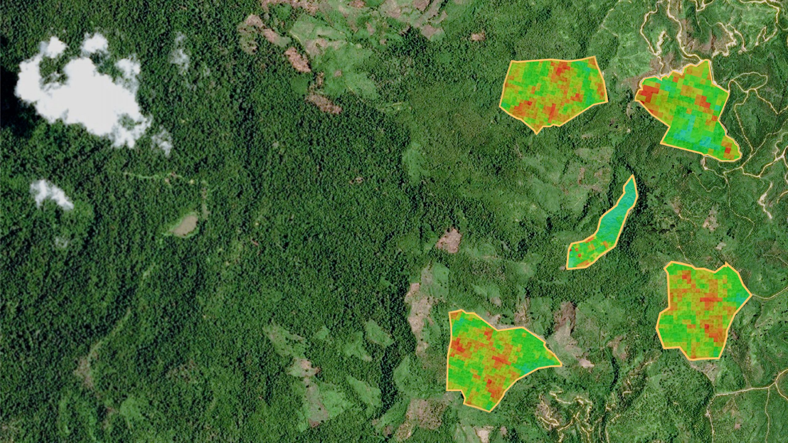 What We Do - Taking Root