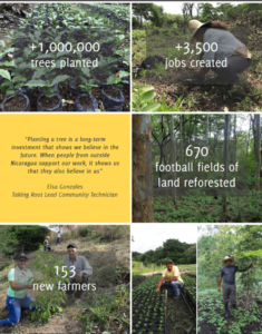 How we grew 1 million trees in 2018 - Taking Root