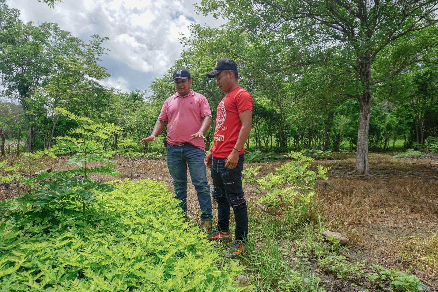 5 reasons farmers join CommuniTree - Taking Root