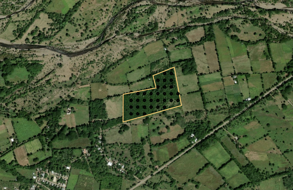 Considerations for mapping reforested land with smallholder farmers