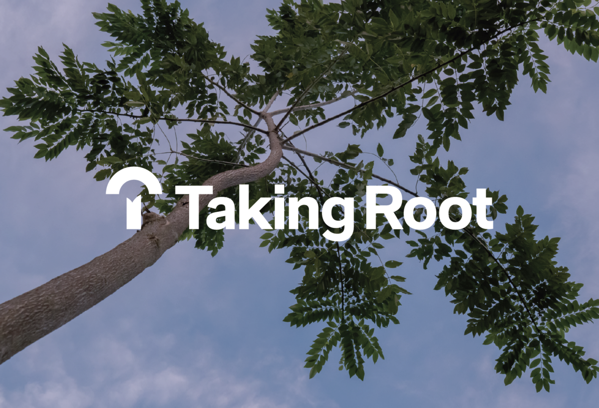Los nuevos valores de Taking Root para restaurar los bosques - Taking Root