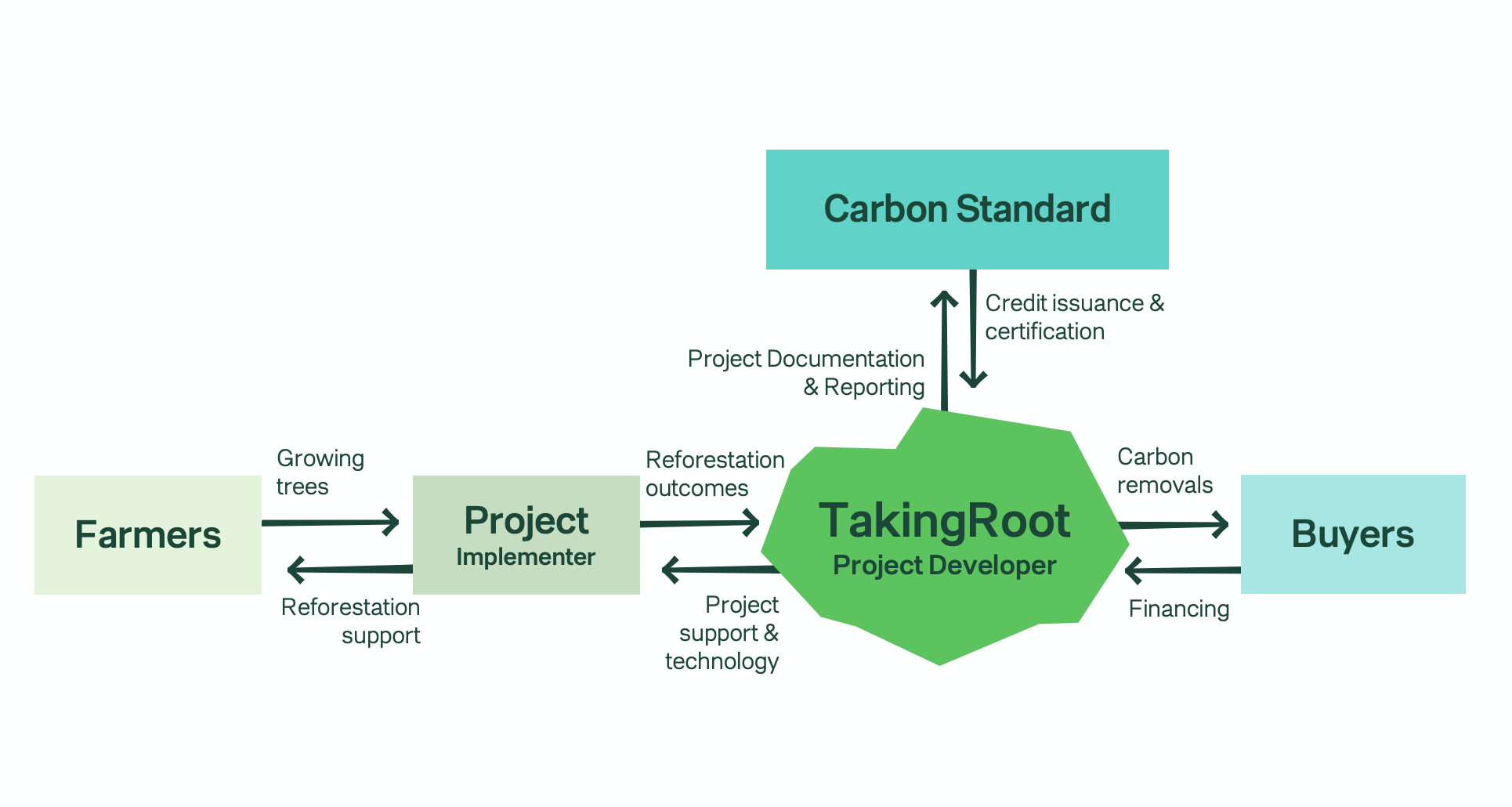 Taking Root looks to expand impact to accelerate forest restoration