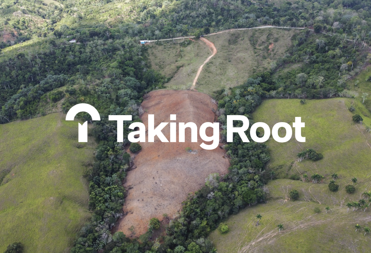 Taking Root busca ampliar su impacto para acelerar la restauración forestal