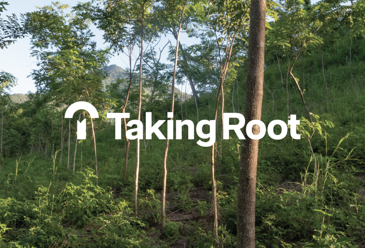 Taking Root logra un hito en su transición corporativa